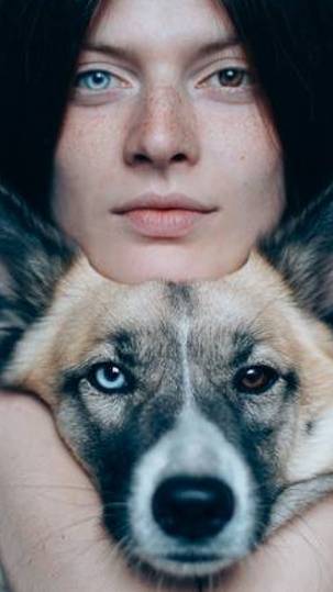 Собаки и змеи