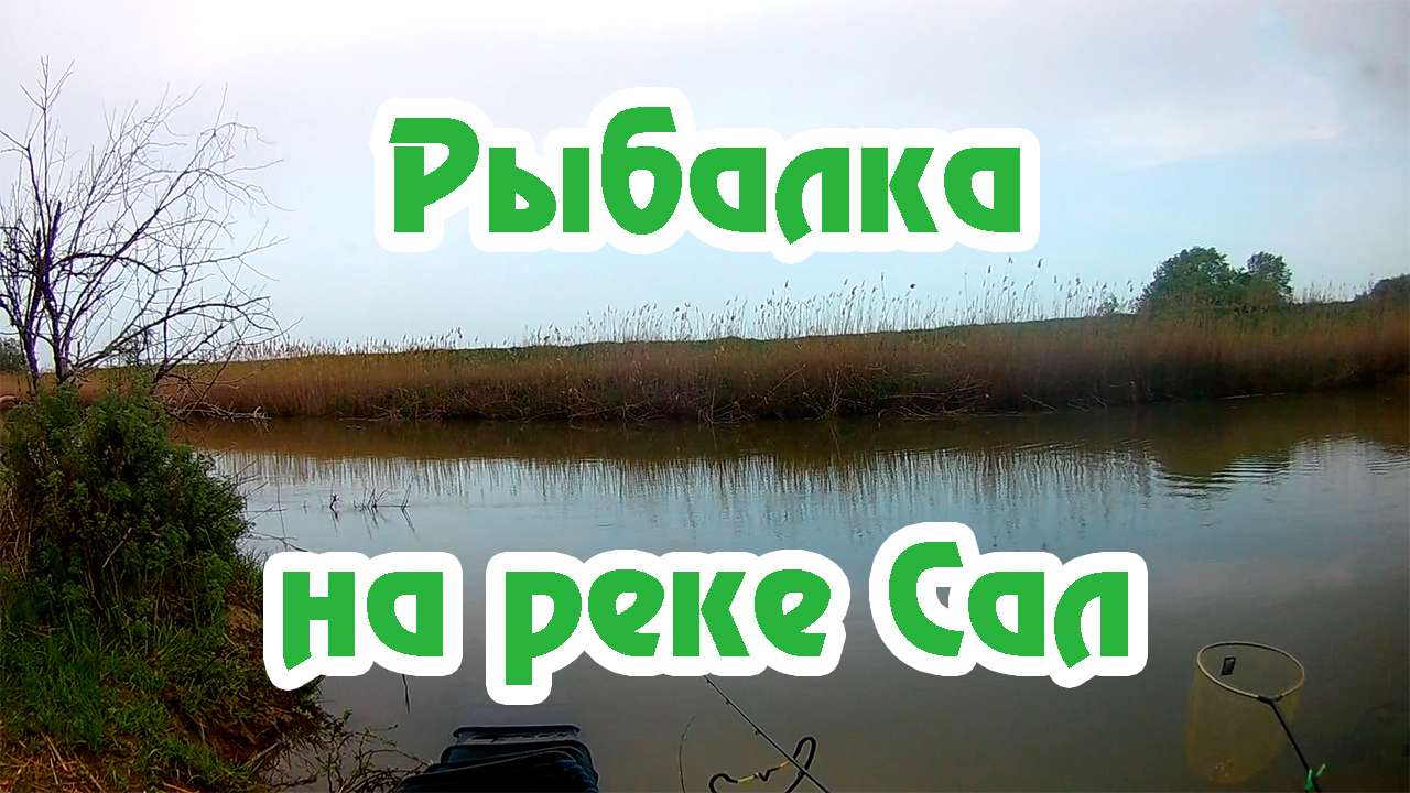 Рыбалка на фидер / Река Сал / Ловля Карася / Ловя голавля / Разнорыбица / Фидер /