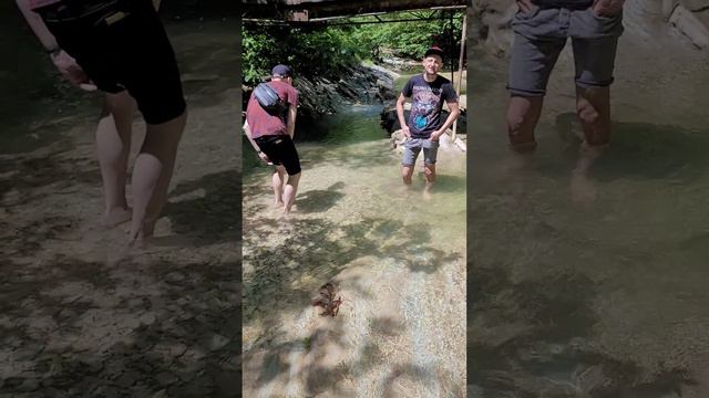 Геленджик 2023