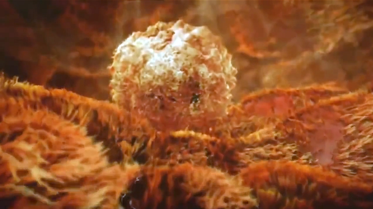 Как происходит зачатие ребёнка