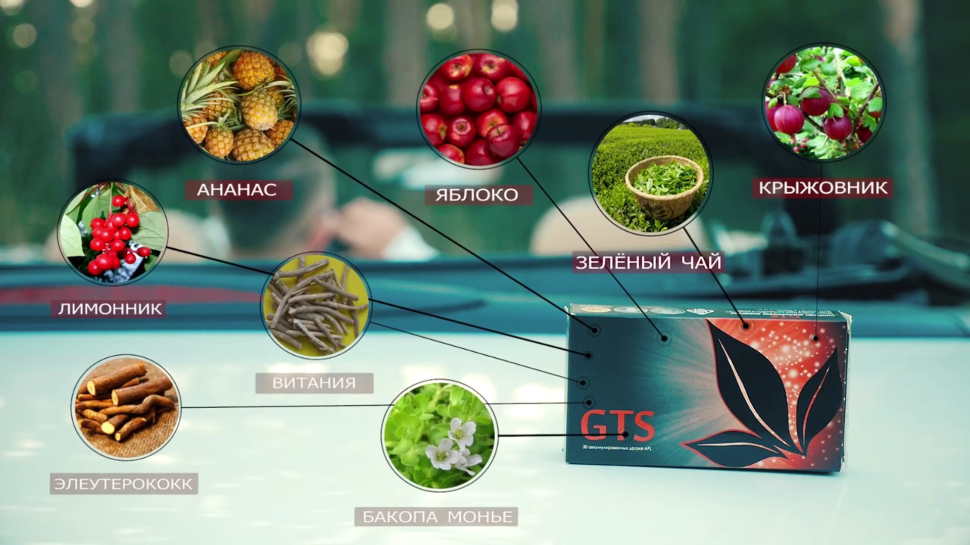 GTS - ПРОБУДИ ЖИЗНЕННУЮ ЭНЕРГИЮ.mp4