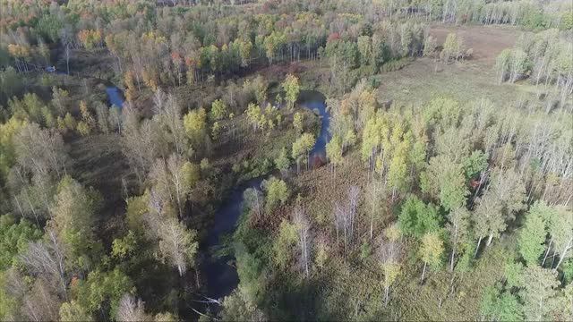 Васюганские болота, рыбалка и жизнь в избе