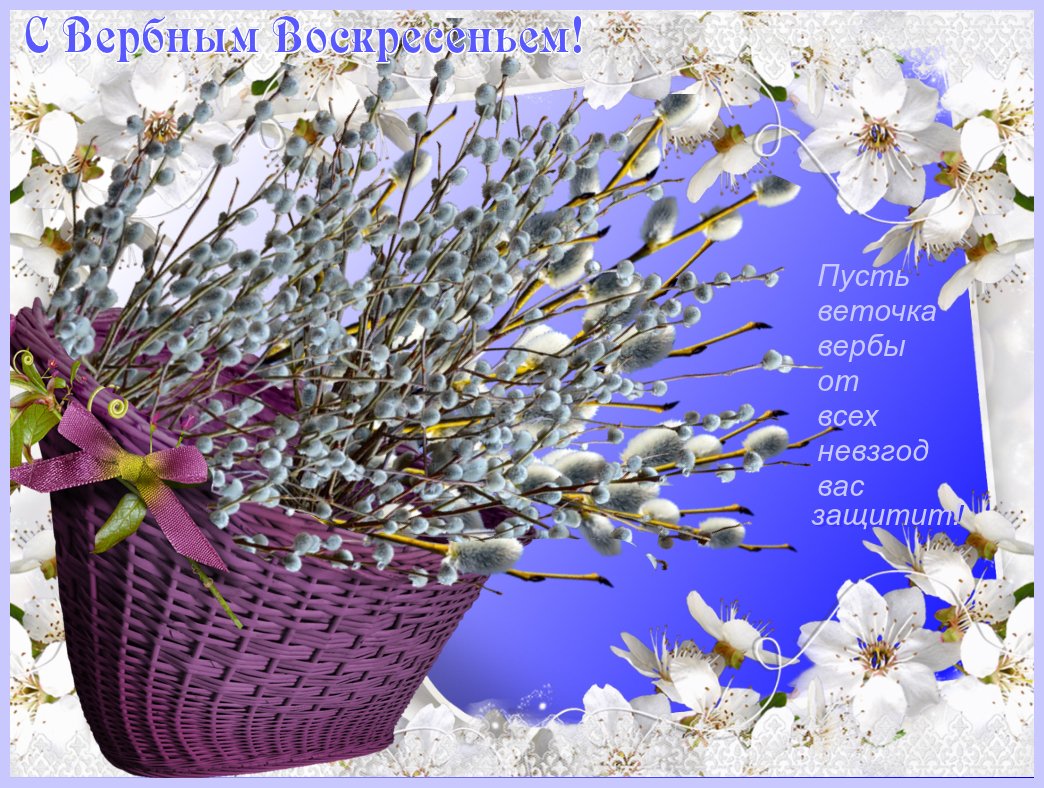 Поздравляю с  Вербным Воскресеньем! Светлого праздника!