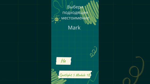 Школьная грамматика английского языка. 5 класс. Местоимения