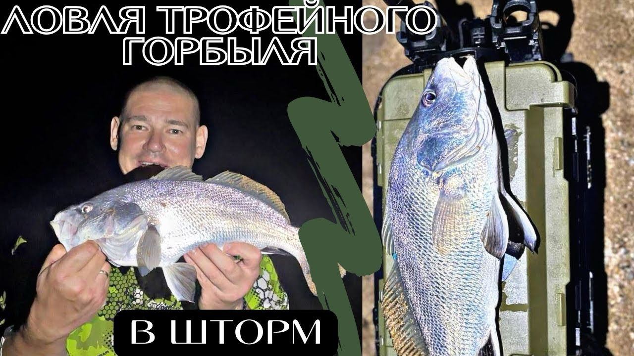 Ловля трофейного горбыля в шторм!