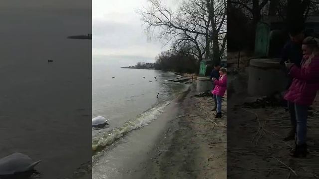 на экскурсии .сайт е-трипстер http://e-tripster.ru  #е-трипстер