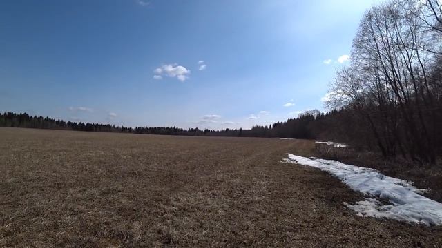 В лес 1 мая, что изменилось в лесу.