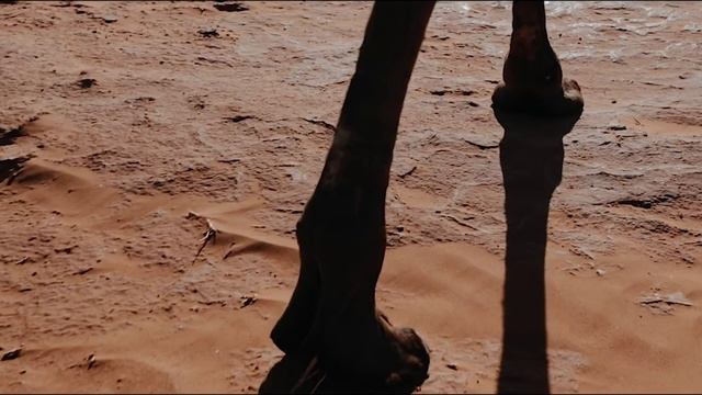 Н. Гумилев "Я и Вы". Читает Леонид Твердяков. Театр-студия "МаскаРад" (Новосибирск)