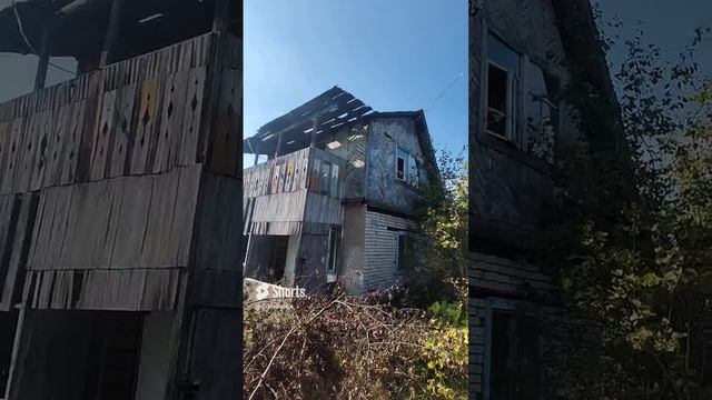 #заброшеннаядача #дача #огород #сибирскаядача #заботы #алтай #семья #отдых #природа