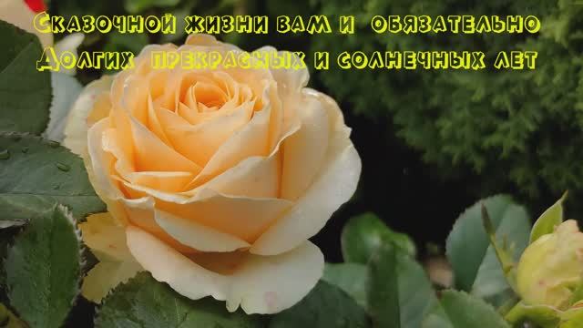 Поздравление с 8 марта