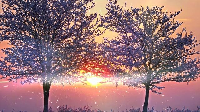 Футаж. Доброе утро 8