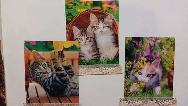 СКРАПБУКИНГ/CATS AND CATS