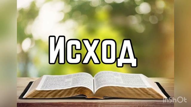 Библия: Исход, глава 35