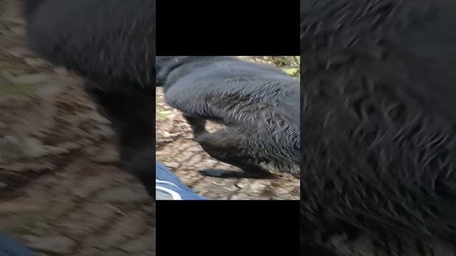 рыбалка в ташле