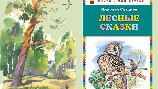 Н. Сладков  Сорока и дятел