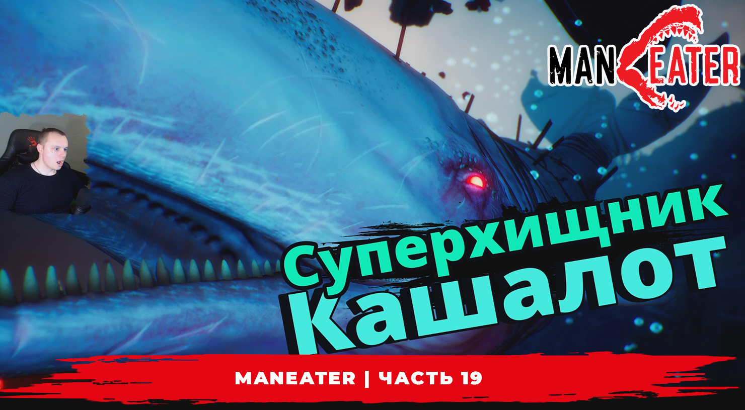 Maneater ➤ Часть 19 ➤ Суперхищник Кашалот ➤ Симулятор Акулы ➤ Прохождение игры МенИтер