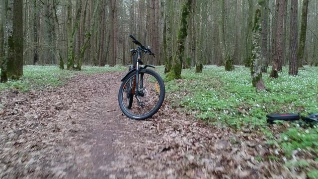 Весеннее настроение!