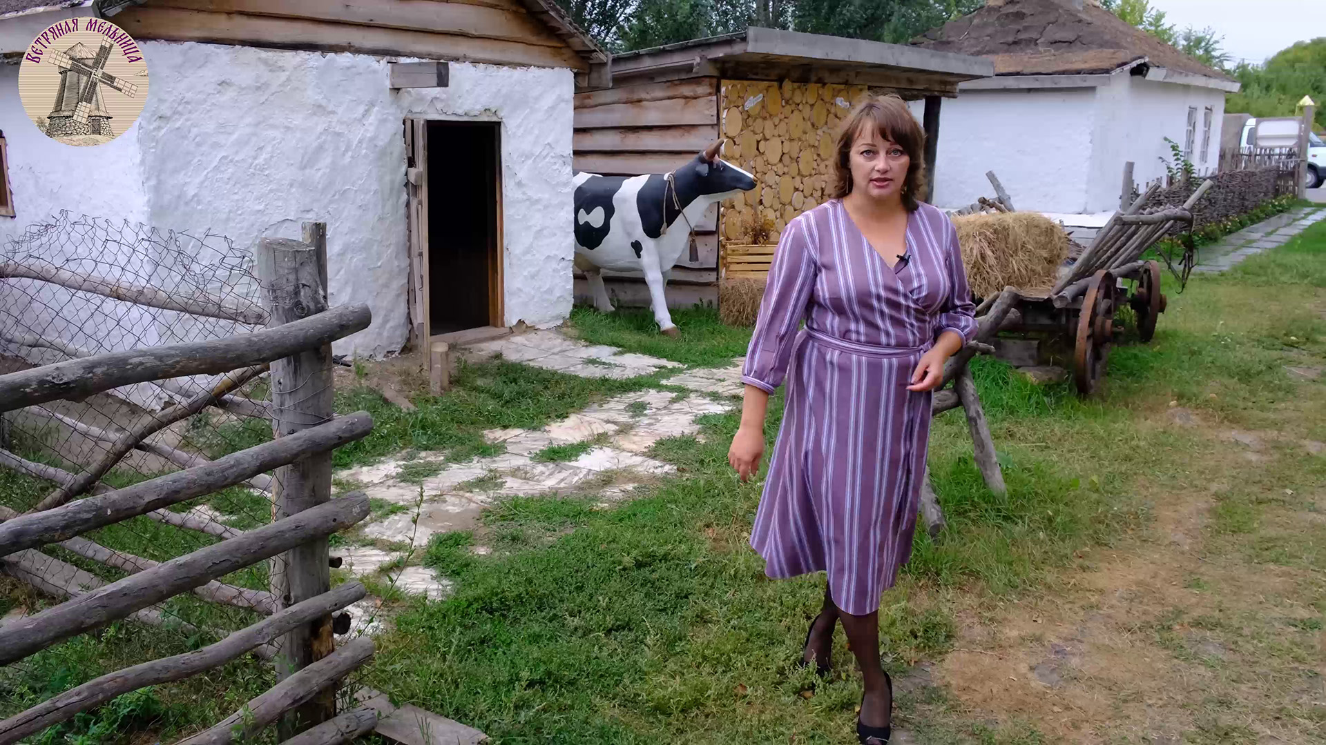 Ветряная мельница. Купинский район. Проект.