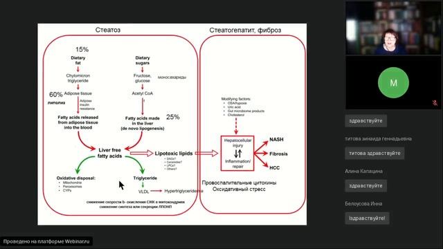 Онучина ЕВ Хронические гепатиты