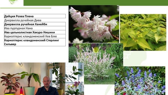 Обучающие семинары, часть 4 Декоративные растения - лиственные и цветущие