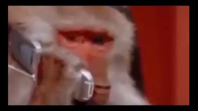 Цыгане и попрошайки-как разговаривать с рекламщиками