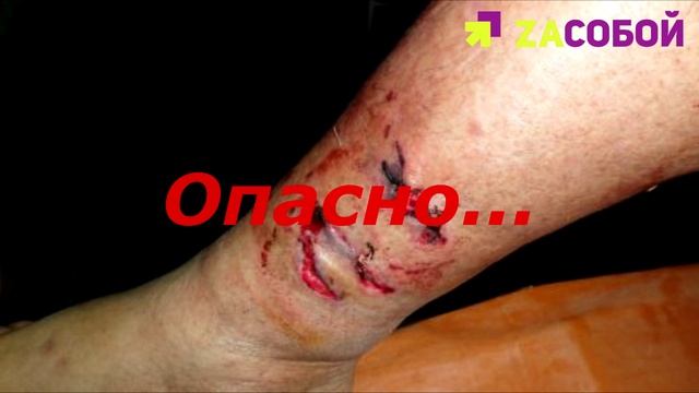 Плюсы и минусы профессии.mp4