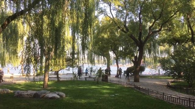 свободная утренняя гимнастика в парках Китая