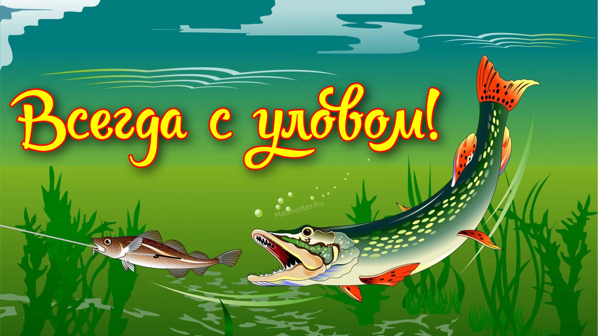 Всегда с уловом лучшая оснастка и приманка