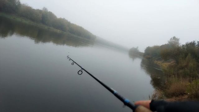 РЫБАЛКА В ОКТЯБРЕ НА ДЖИГУРДУ!!!ЧАСТЬ 2!!!ПАКЛЁВКИ СУДАКА!!!СПОЙМАЛ СУДАКА!!!