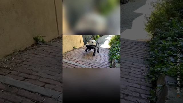 Робот-собака VERO: Будущее рядом