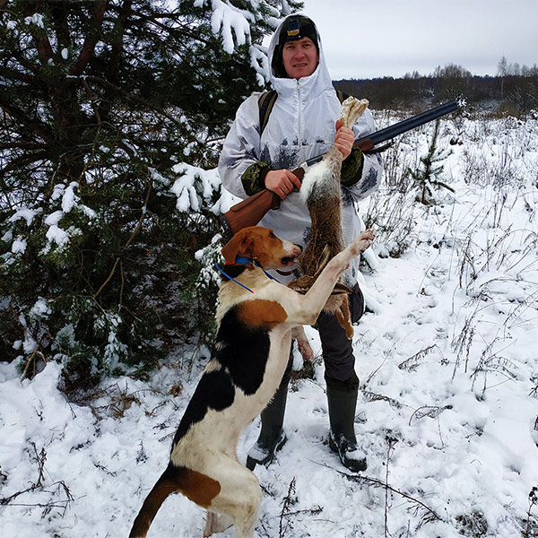 ЭМОЦИОНАЛЬНАЯ ОХОТА НА ЗАЙЦА. ДВА ТРОФЕЯ В ЗУБАХ ПЕГОЙ ГОНЧЕЙ