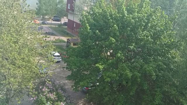 ✔ Калининградская область., г.Светлогорск, 04.05.2024 год