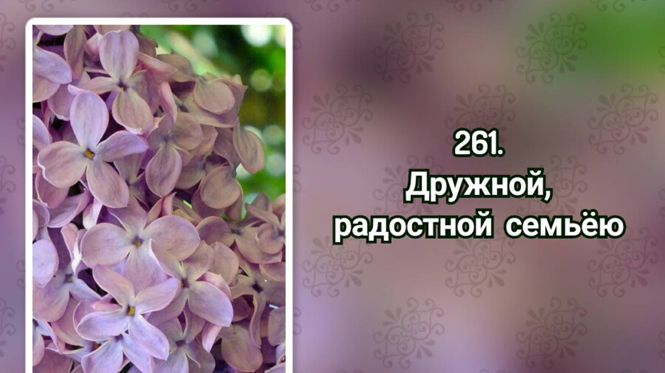 Гимны надежды 261 Дружной, радостной семьёю (-)