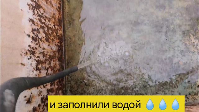 Садовый участок. Часть 5