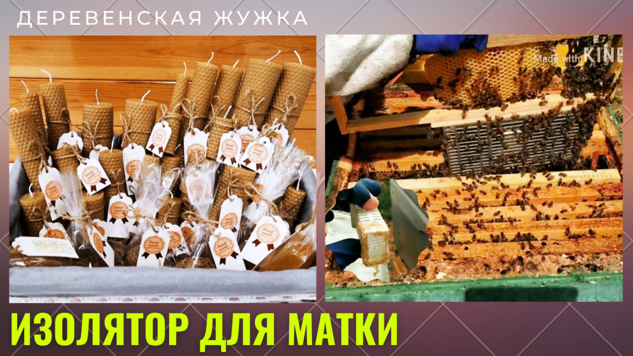 Пчелы. Семья на трех корпусах. Матка в изоляторе Часть 1 (Bee.)