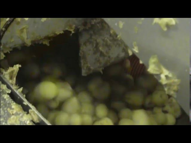 Паровая очистка овощей