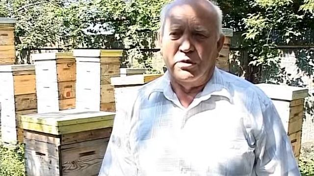 Пасечник Владимир Колеганов организовал свое дело. Август 2011 год.