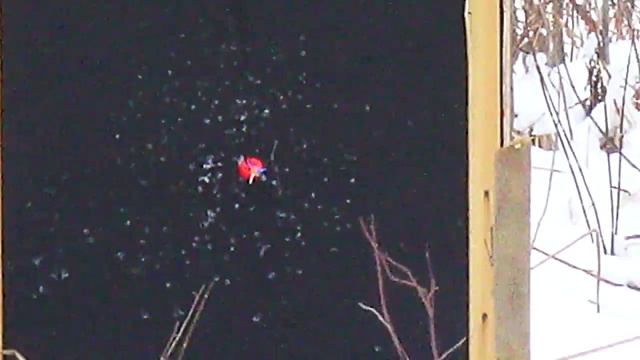 Полка Г На палочке !