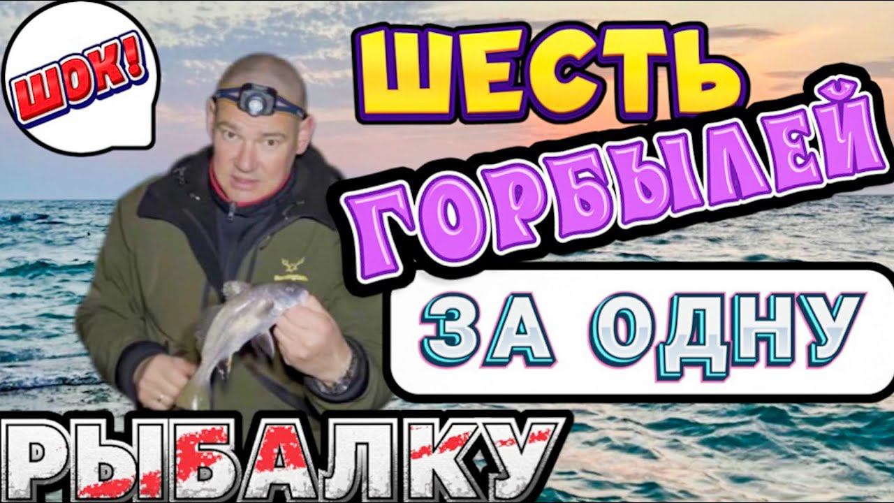 Черноморский горбыль или горбылевое Эльдорадо! Ночная морская рыбалка в Крыму.