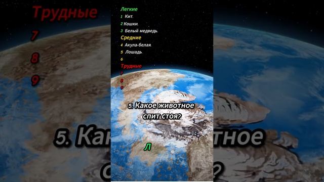 Вопросы и ответы