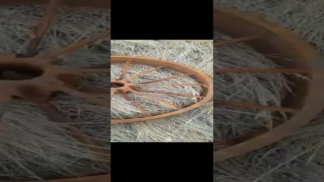 Петрович на копе ноябрь