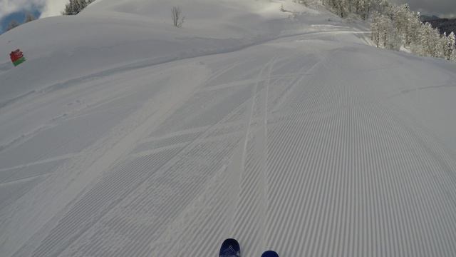 2019-03-18 Роза Хутор. Южный склон. Явор 2 (зелёная) ВЕЛЬВЕТ