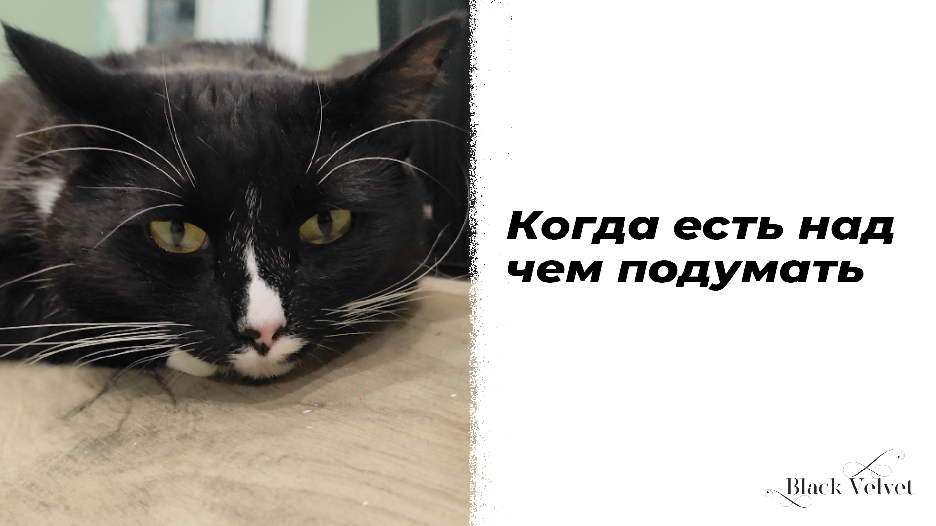 Когда есть над чем подумать ?