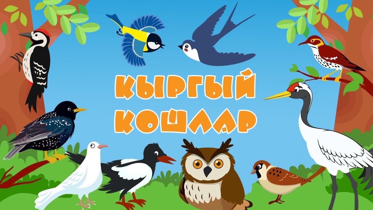 БӘБИ СҮЗ: Кыргый кошлар / Дикие птицы / Изучаем животных и птиц