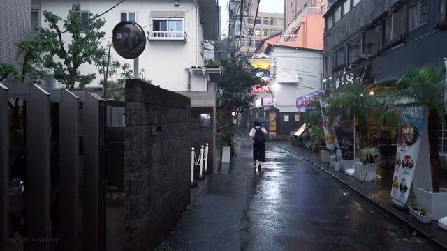 Прогулка под дождем Токио - Успокаивающие звуки