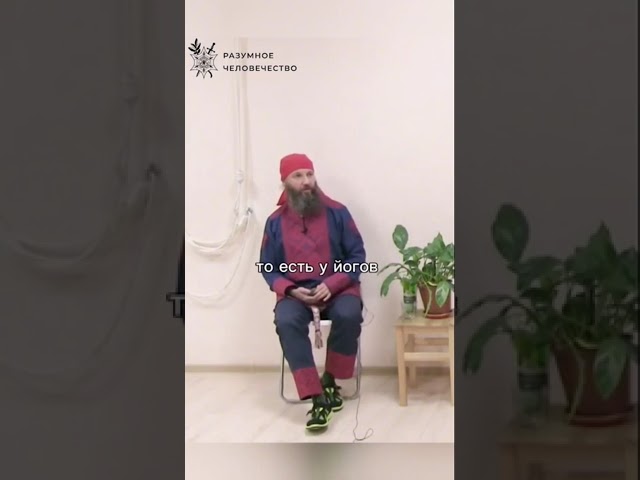 йоги в Индии #эзотерическийпсихолог #внутренняяэнергия