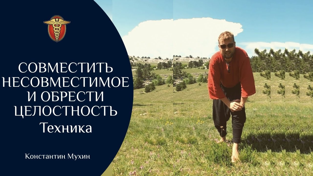 ☯ Совместить несовместимое и обрести целостность. Техника | Константин Мухин