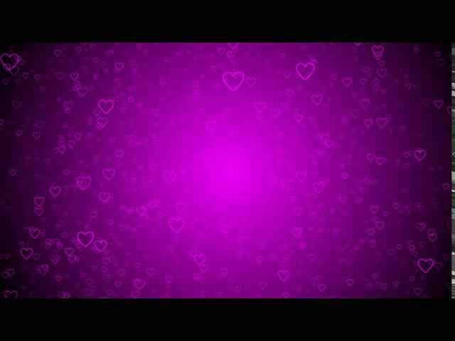 Шикарный свадебный футаж фона цвета тёмного маджента с эффектом контура сердечек