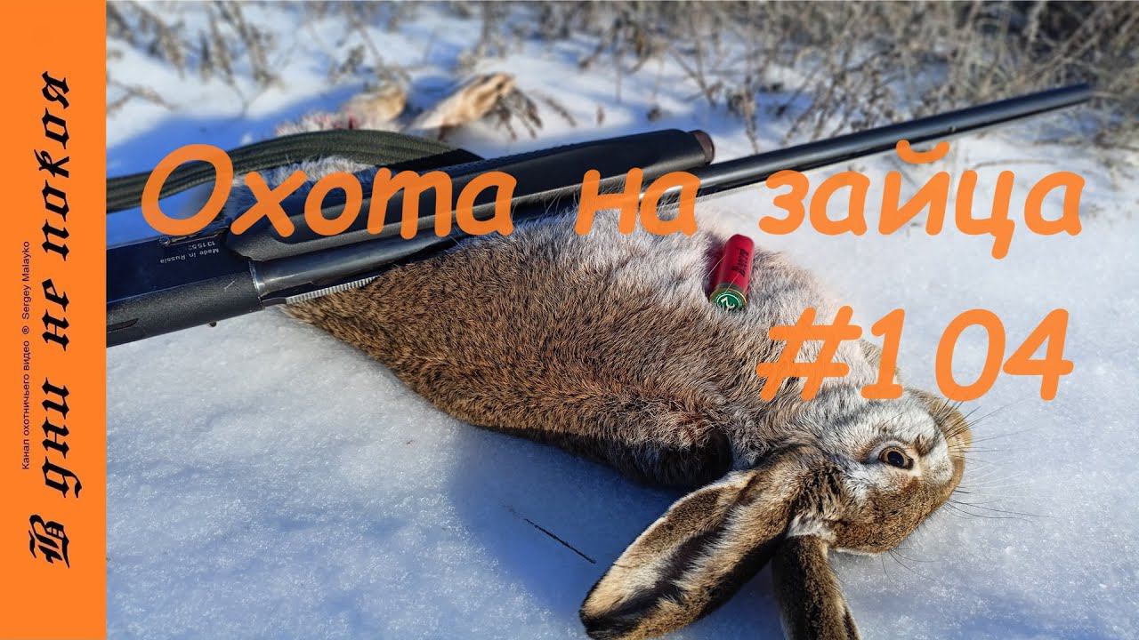Охота на зайца. Выпуск № 104 18+