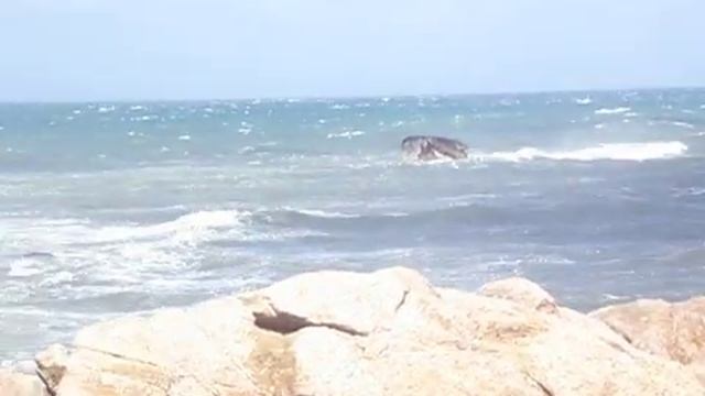 Мыс Леви, Нормандия, Франция